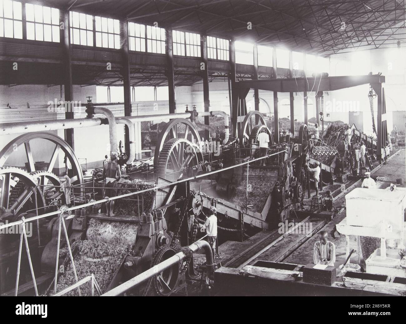 Processing sugar cane in the factory of the sugar company Nieuw Tersana ...