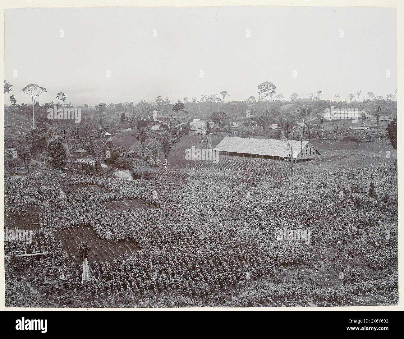 Sumatra photo album hi-res stock photography and images - Alamy