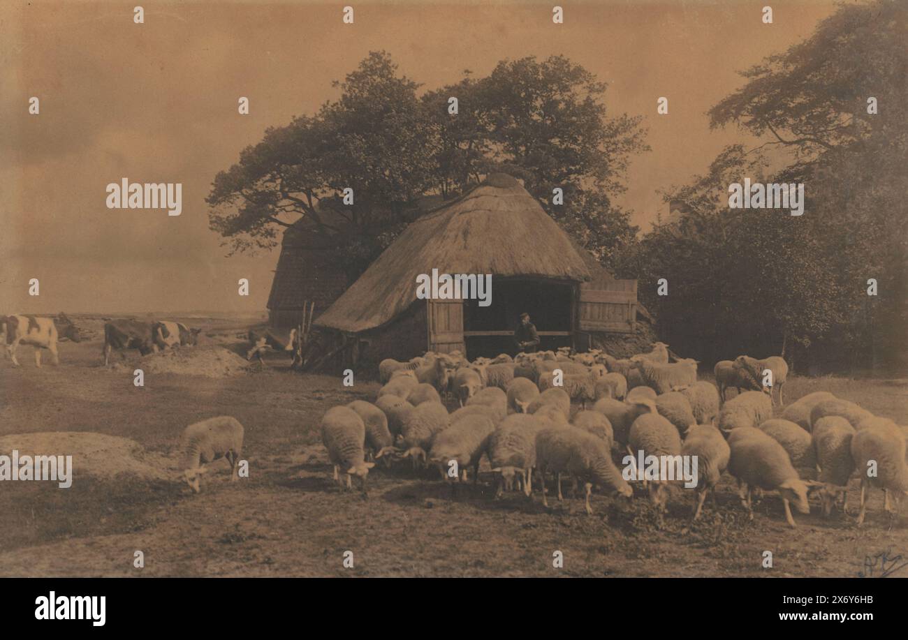 De schaapskooi alb hi-res stock photography and images - Alamy