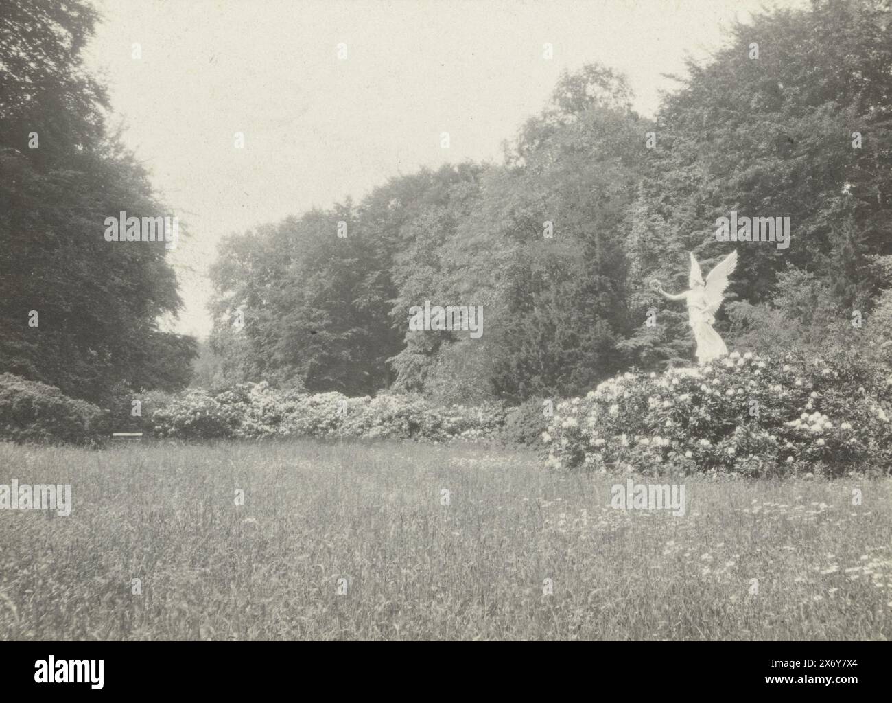 View dolph hi-res stock photography and images - Alamy