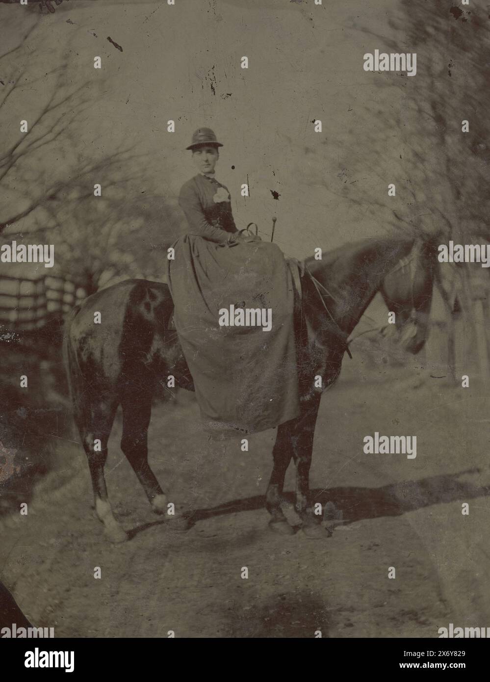 Woman on horseback, photograph, anonymous, United States of America ...