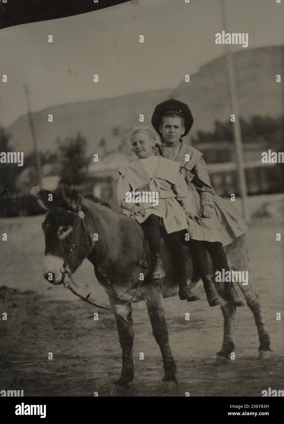 Two children on a donkey, photograph, anonymous, United States of ...