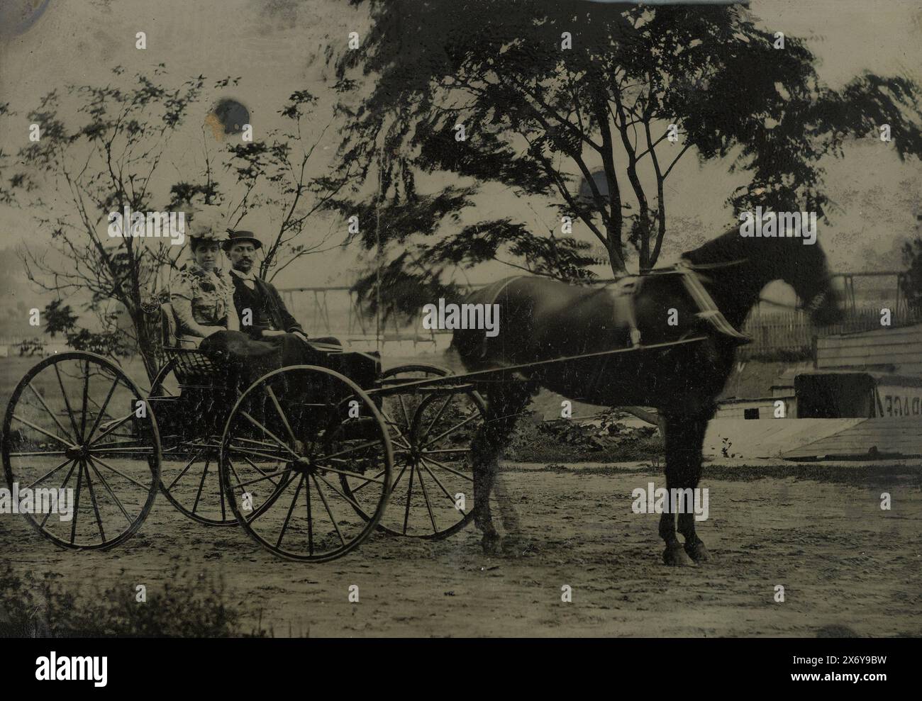 Man and woman in a carriage with a horse in front, photograph ...