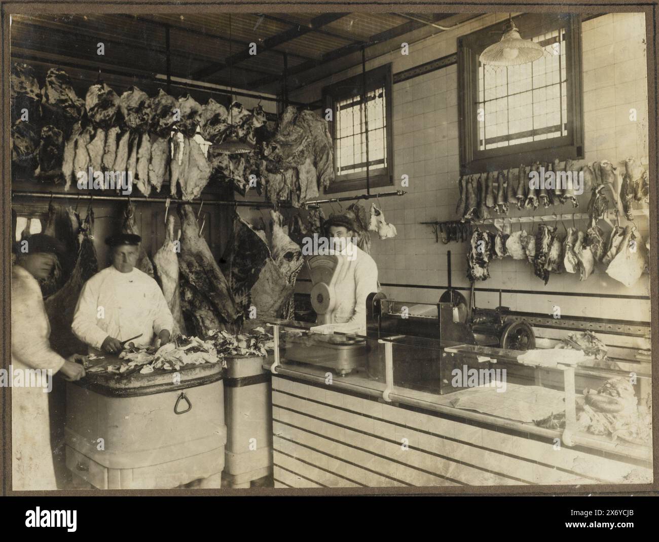 Jenster hi-res stock photography and images - Alamy