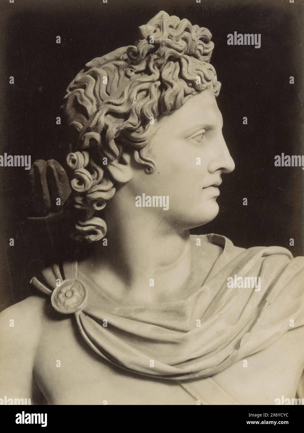 Roma apollo di belvedere museo vaticano hi-res stock photography and ...