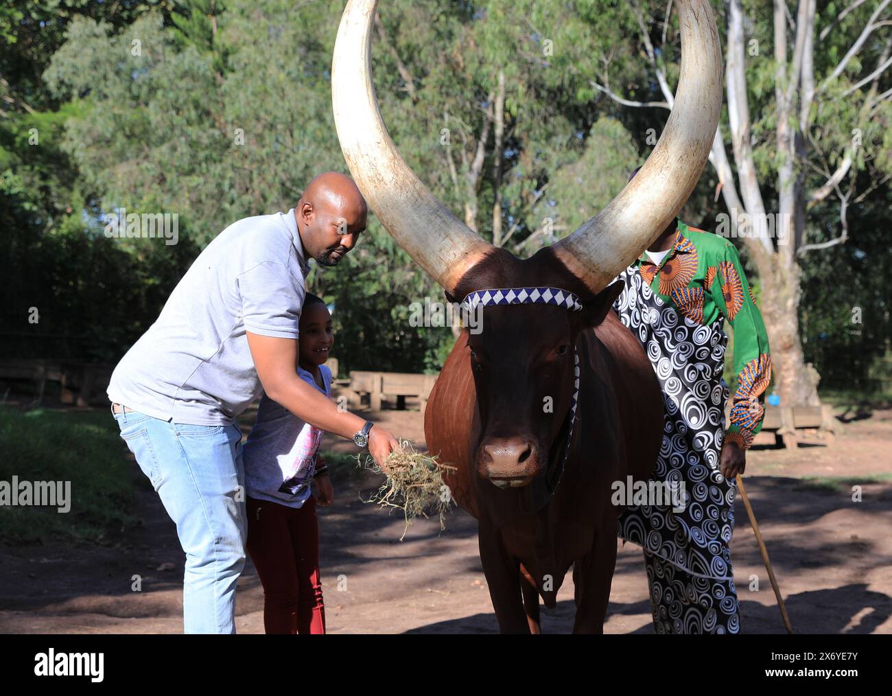 Kings palace nyanza rwanda hi-res stock photography and images - Alamy