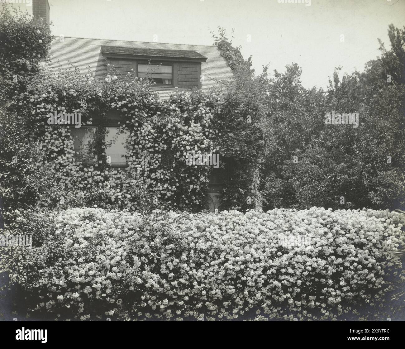 Berkeley rose garden california hi-res stock photography and images - Alamy