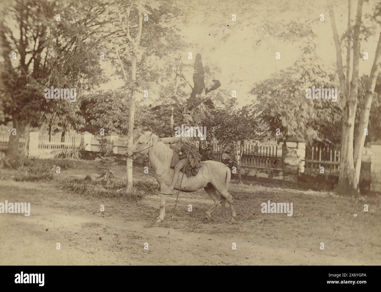 Buginese hirschjager hi-res stock photography and images - Alamy