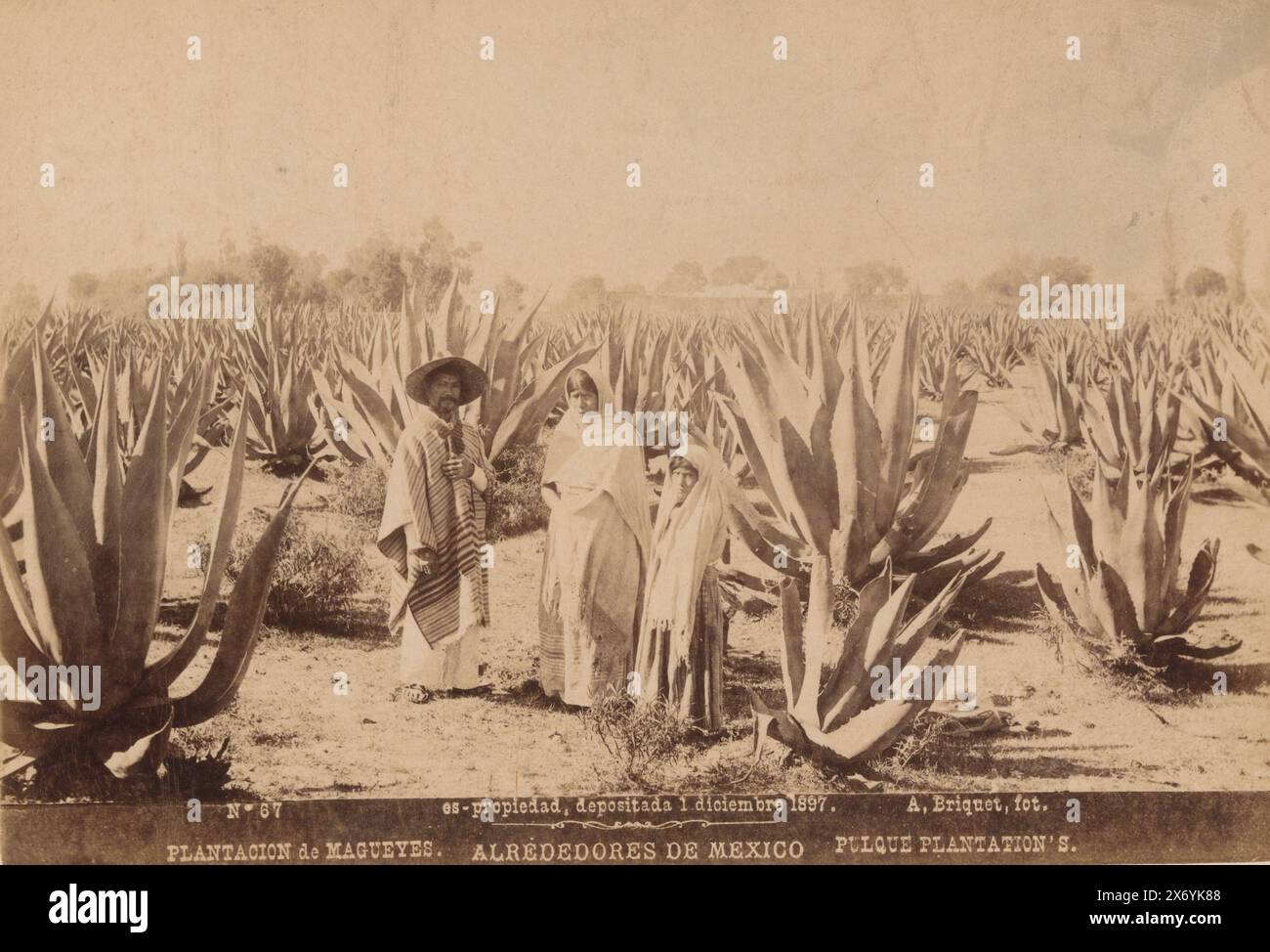 Plantacion mexico hi-res stock photography and images - Alamy