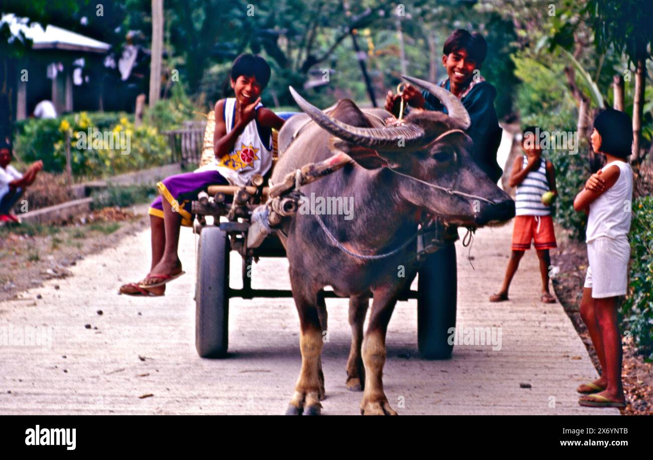 A cart is pulled by a water buffalo in Pampanga Province, the ...