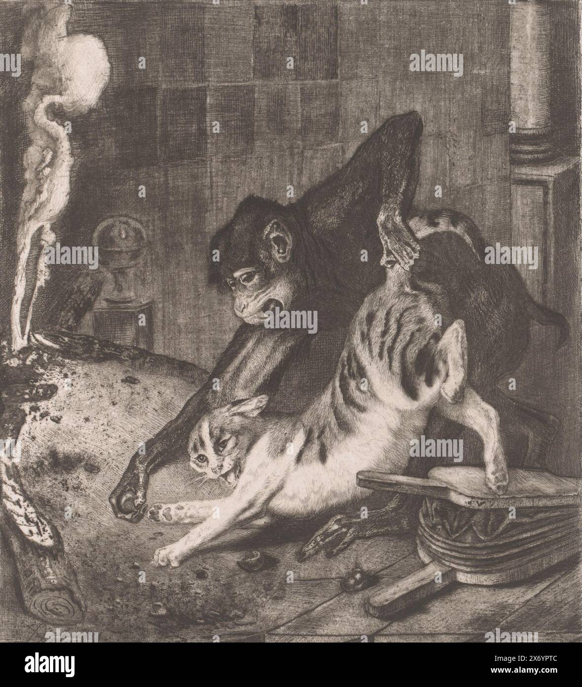 Monkey forces a cat to take chestnuts out of the fire, Bertrand the ...