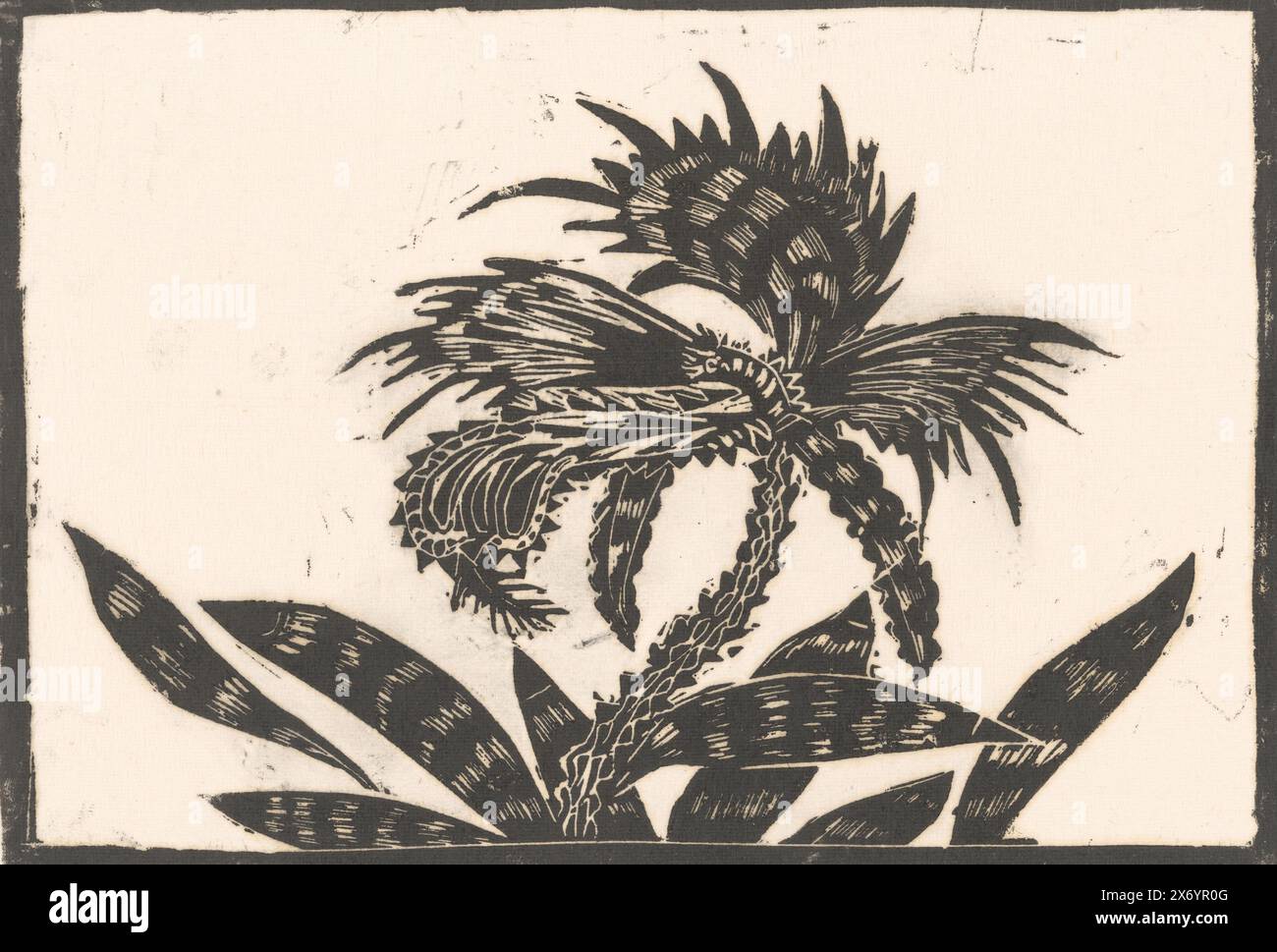 Plant with flower, Flowering cactus (original title), print, print ...