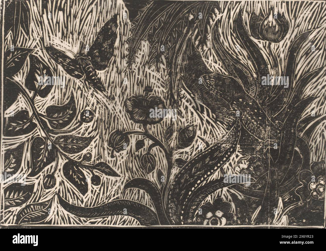 Thickets with lizard and moth, print, print maker: Janus de Winter ...