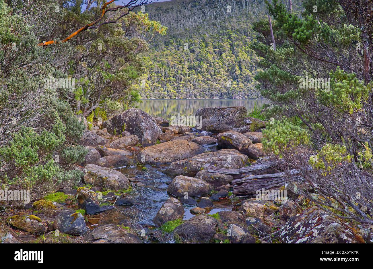 Reflections of surrounding rock and forest in Lake Nicholls an alpine ...