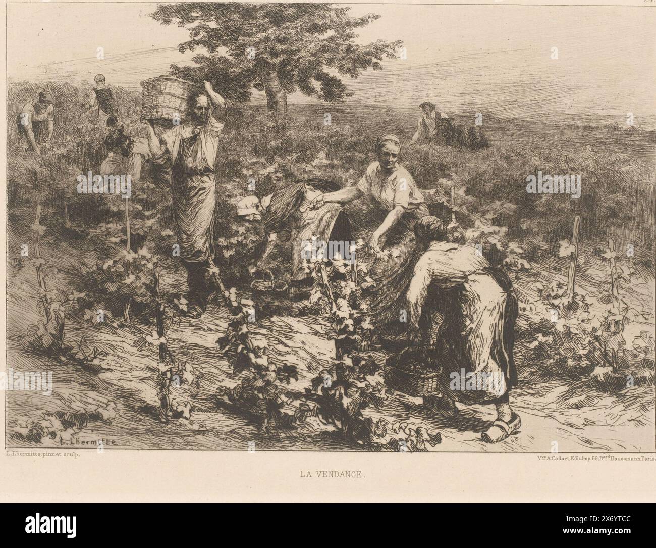 Vintage, La vendange (title on object), French etchings from 1877 ...
