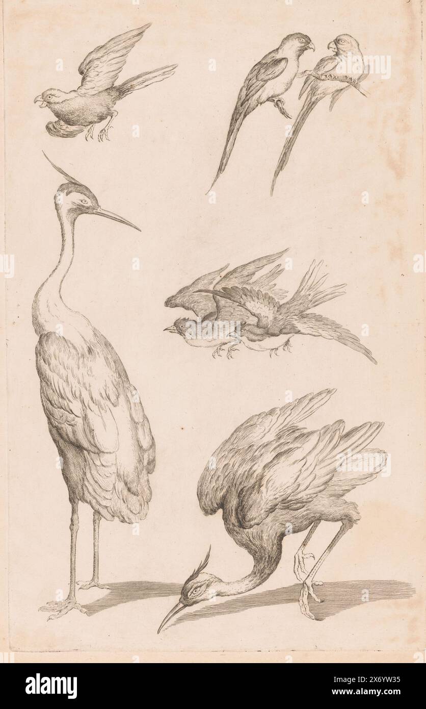 Seven chinese birds hi-res stock photography and images - Alamy