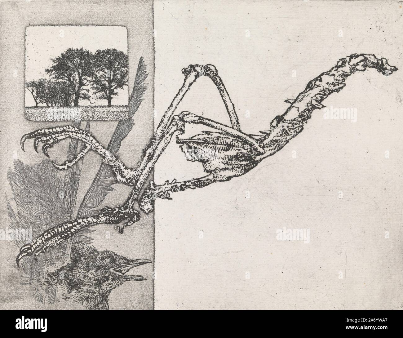 Height 285 mm width 190 mm hi-res stock photography and images - Alamy