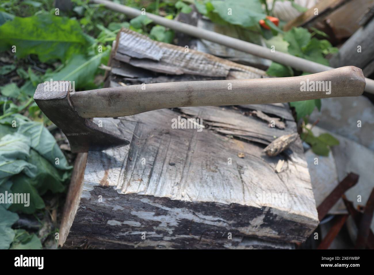 Used Ax hatchet stuck in a wood stump, in courtyard, countryside area ...