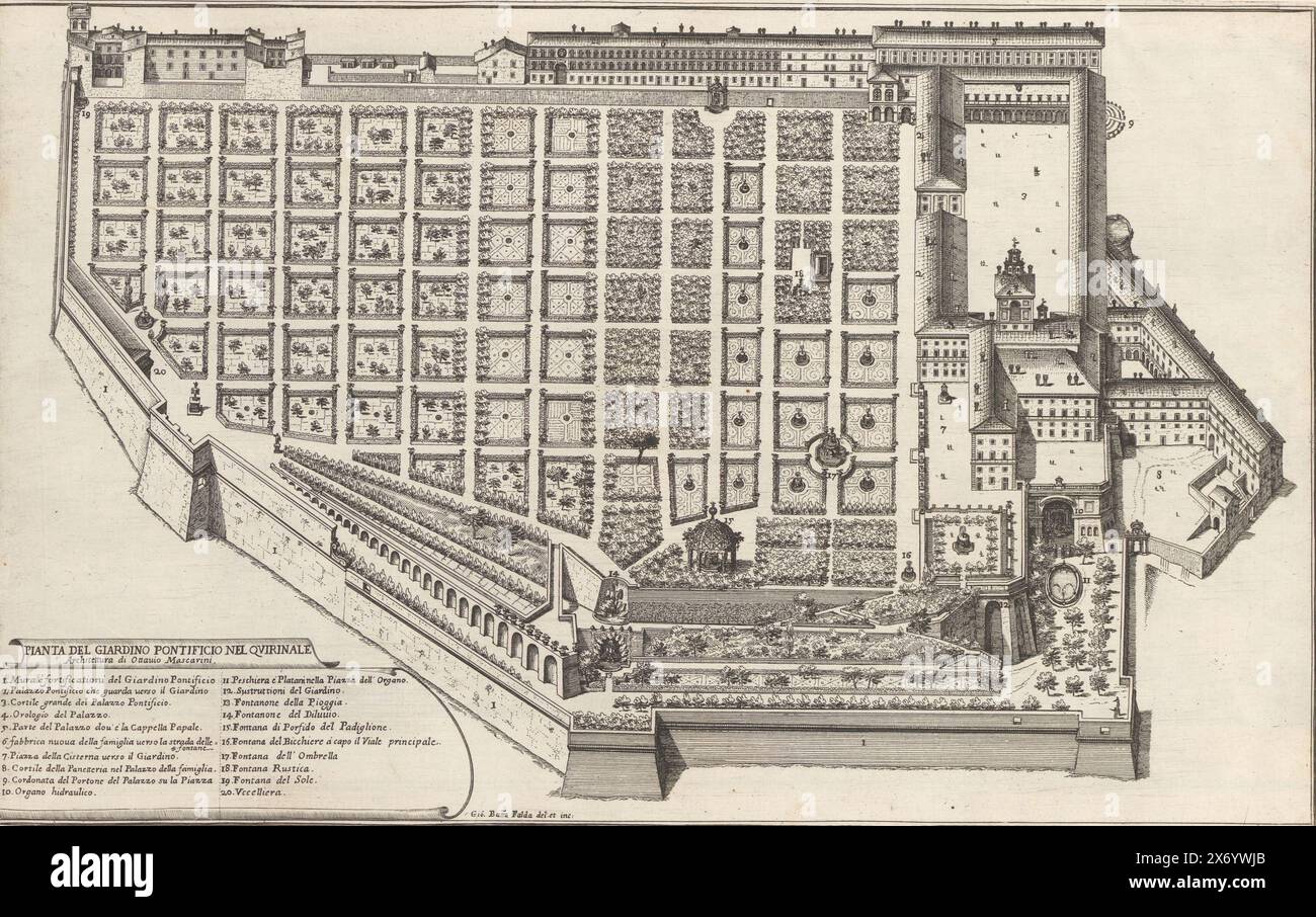 Pianta in giardino hi-res stock photography and images - Alamy