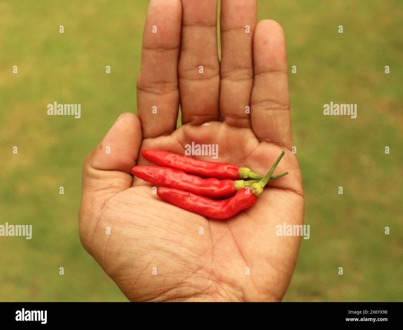 Child holding someones hand hi-res stock photography and images - Alamy