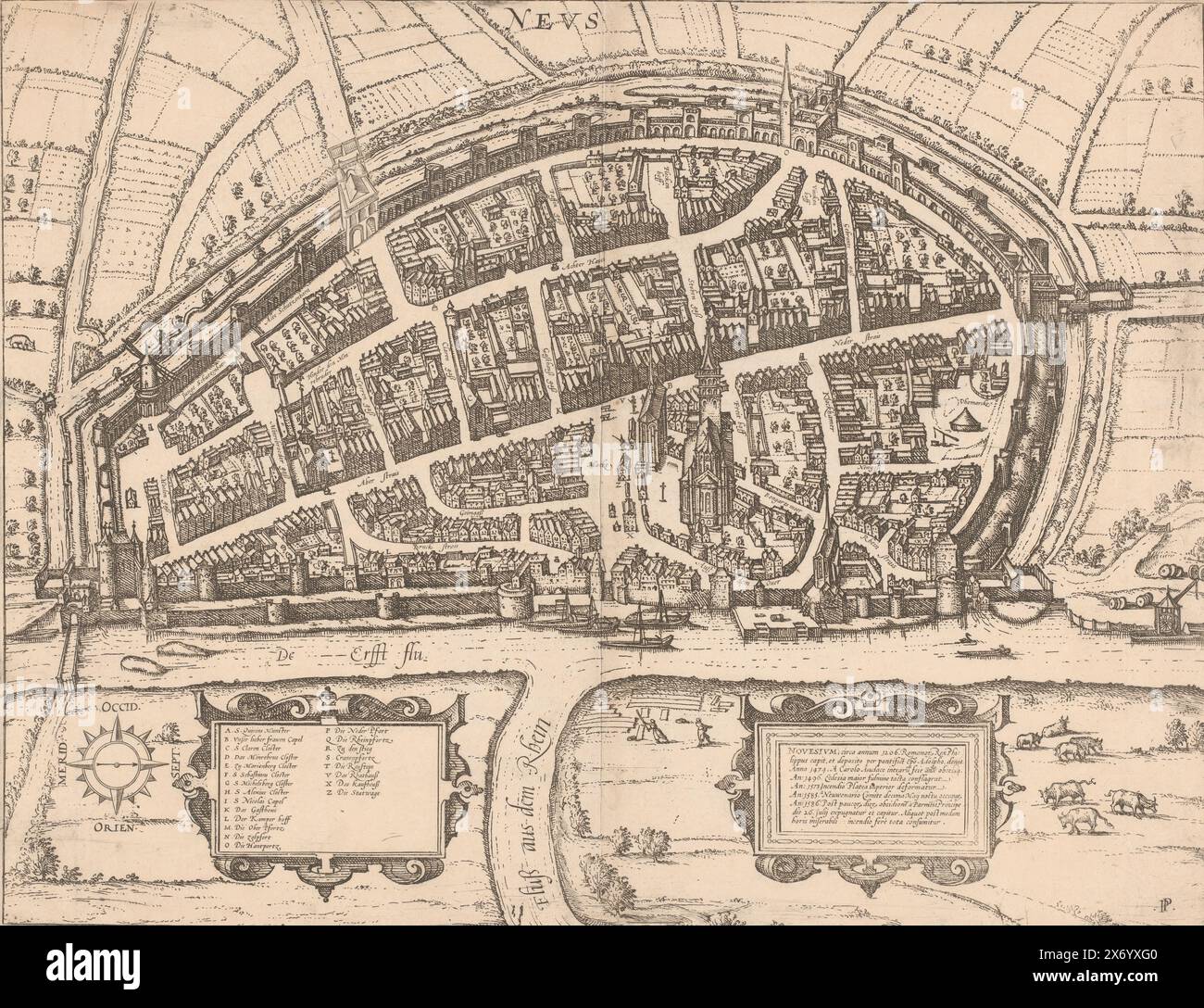 Rex philippus capit hi-res stock photography and images - Alamy