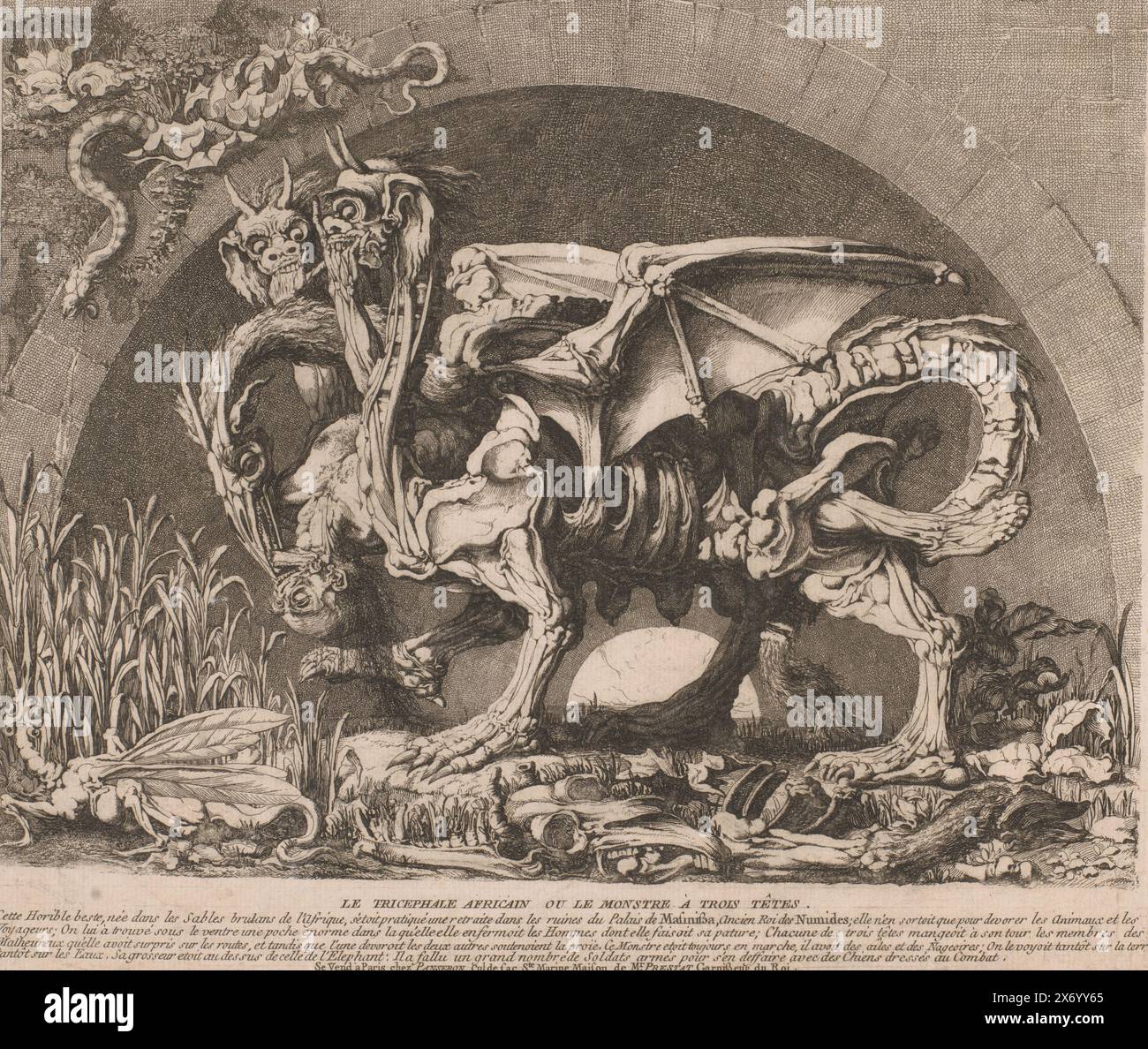 Tricephale africain hi-res stock photography and images - Alamy