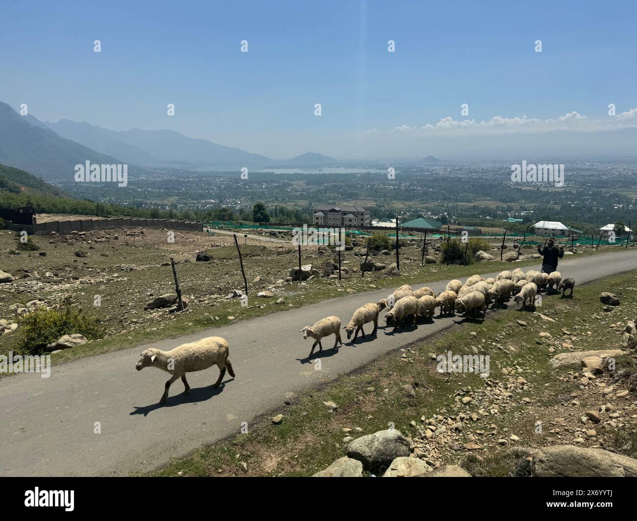 Kashmir valley is renowned for its breathtaking natural beauty and is ...