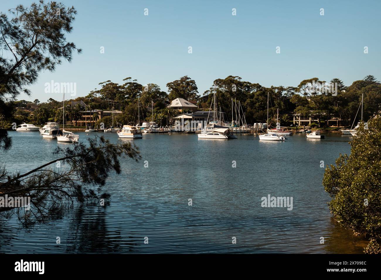 Residential properties overlooking Bayview Dog Park, Rowland Reserve ...