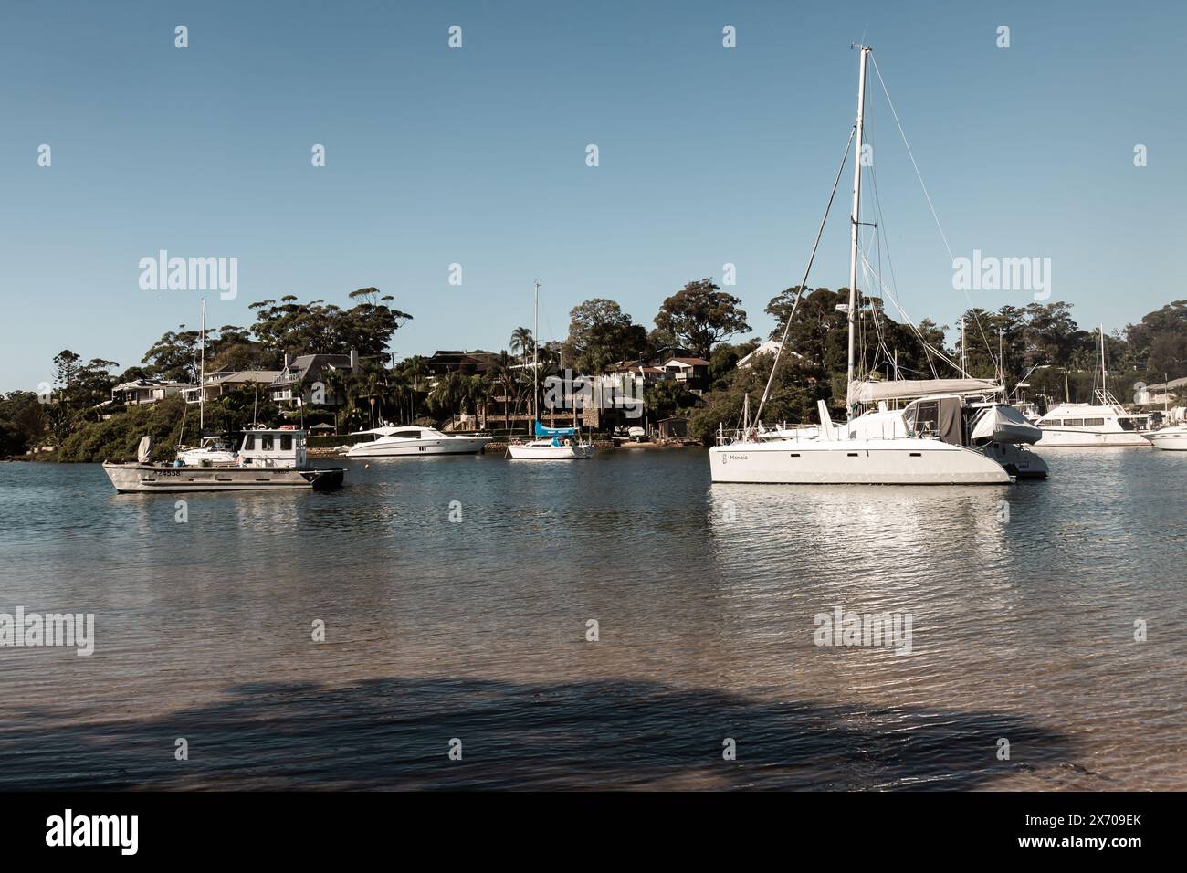 Residential properties overlooking Bayview Dog Park, Rowland Reserve ...