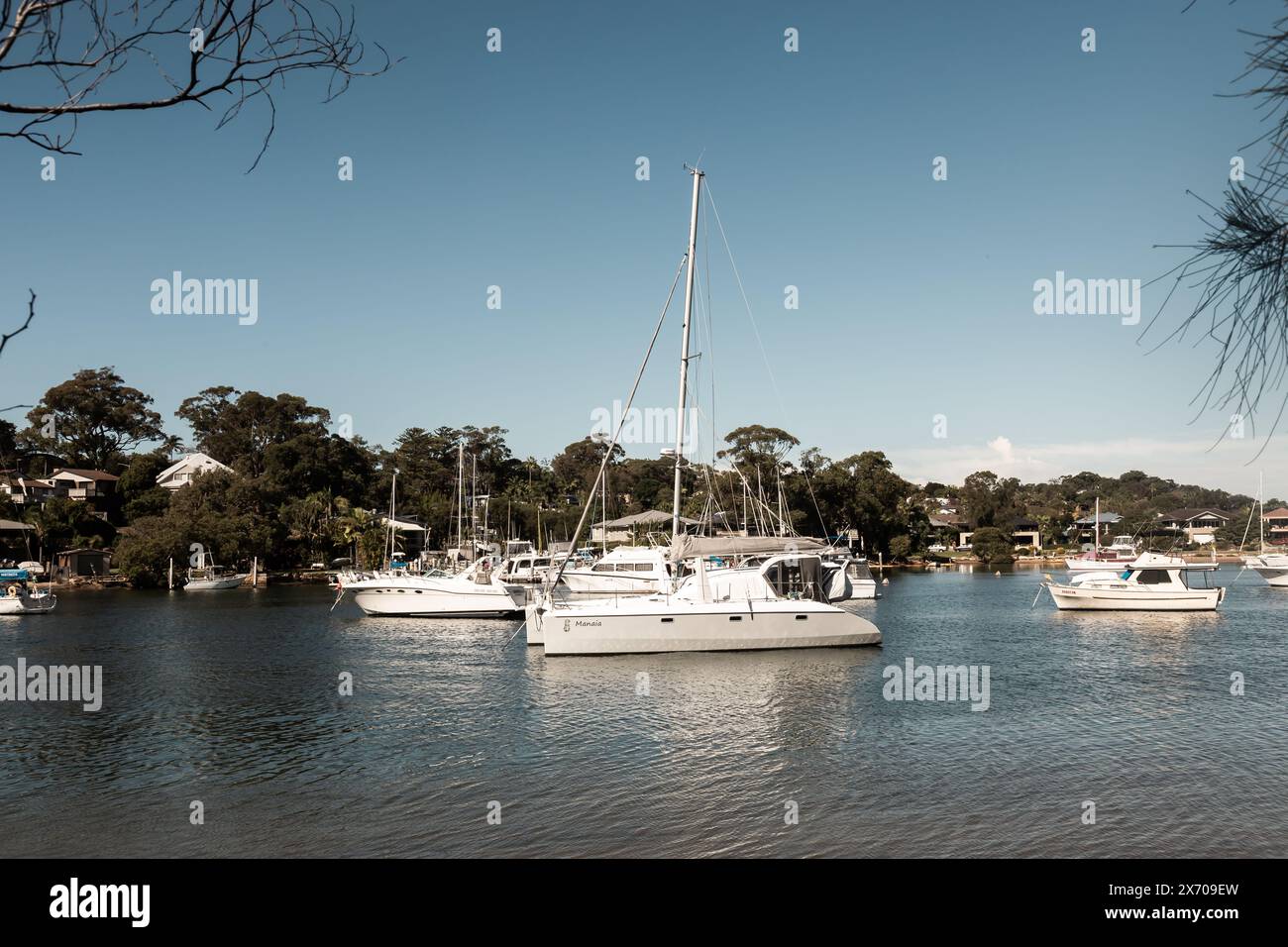 Residential properties overlooking Bayview Dog Park, Rowland Reserve ...
