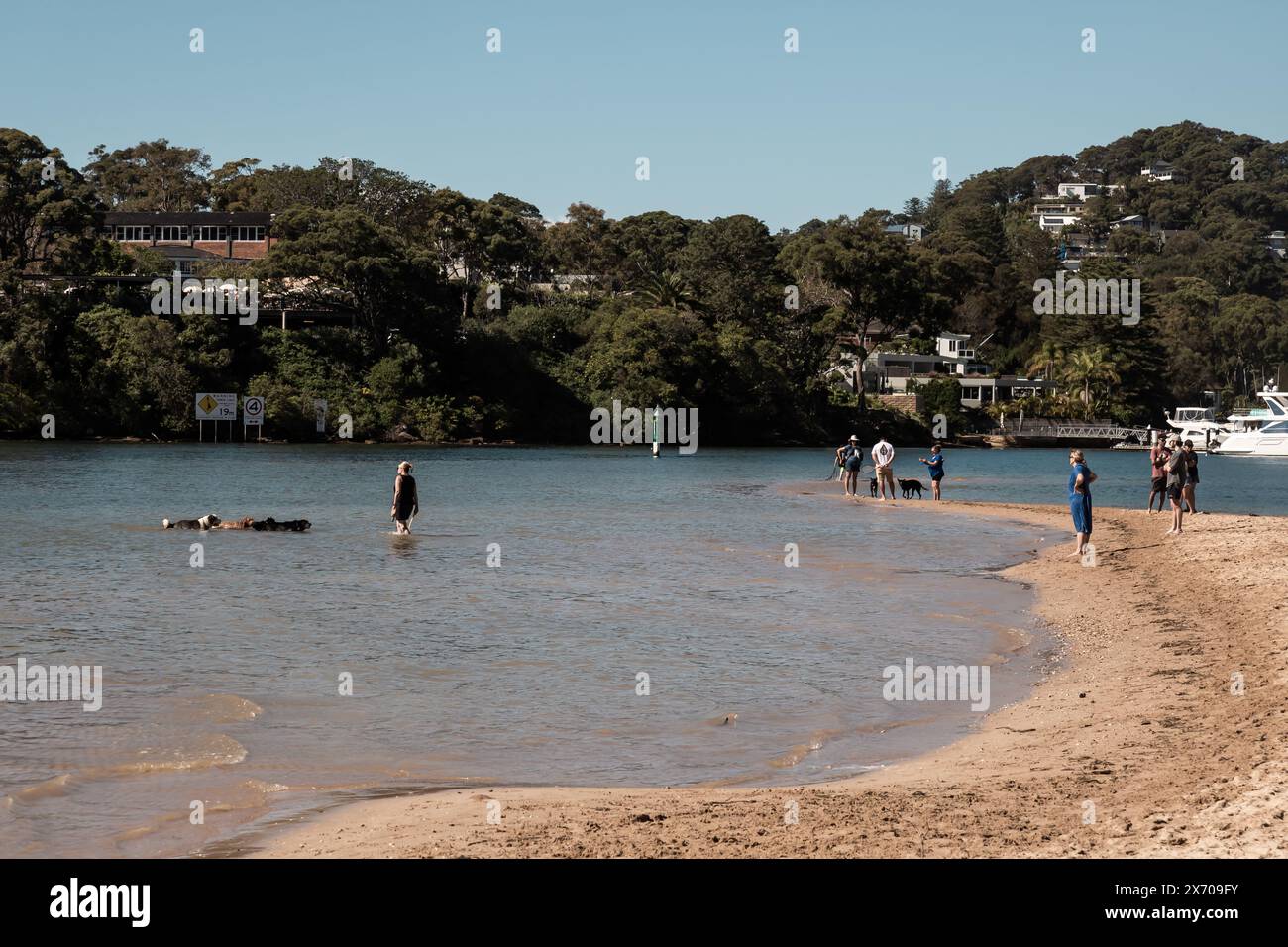 Residential properties overlooking Bayview Dog Park, Rowland Reserve ...