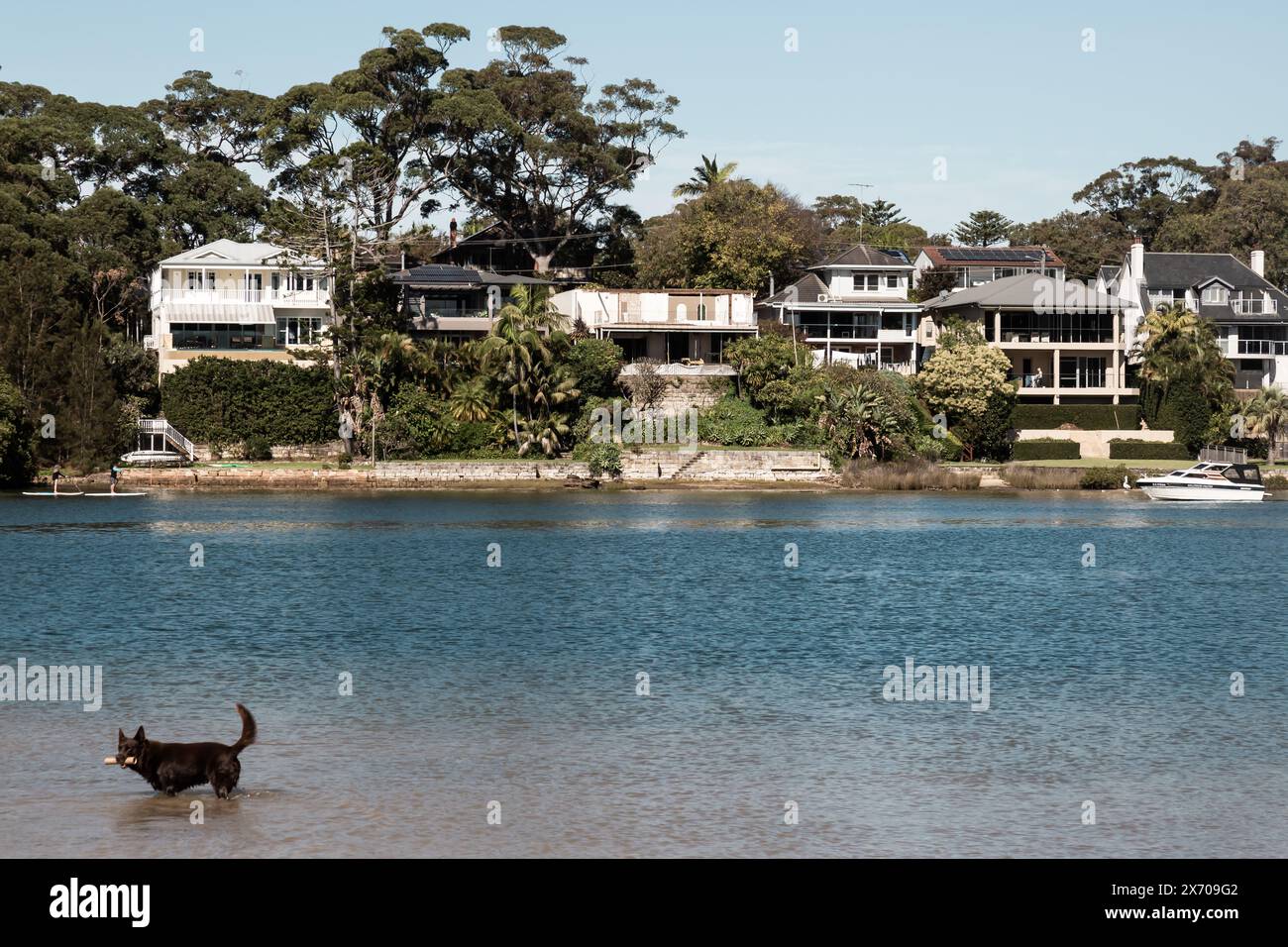 Residential properties overlooking Bayview Dog Park, Rowland Reserve ...