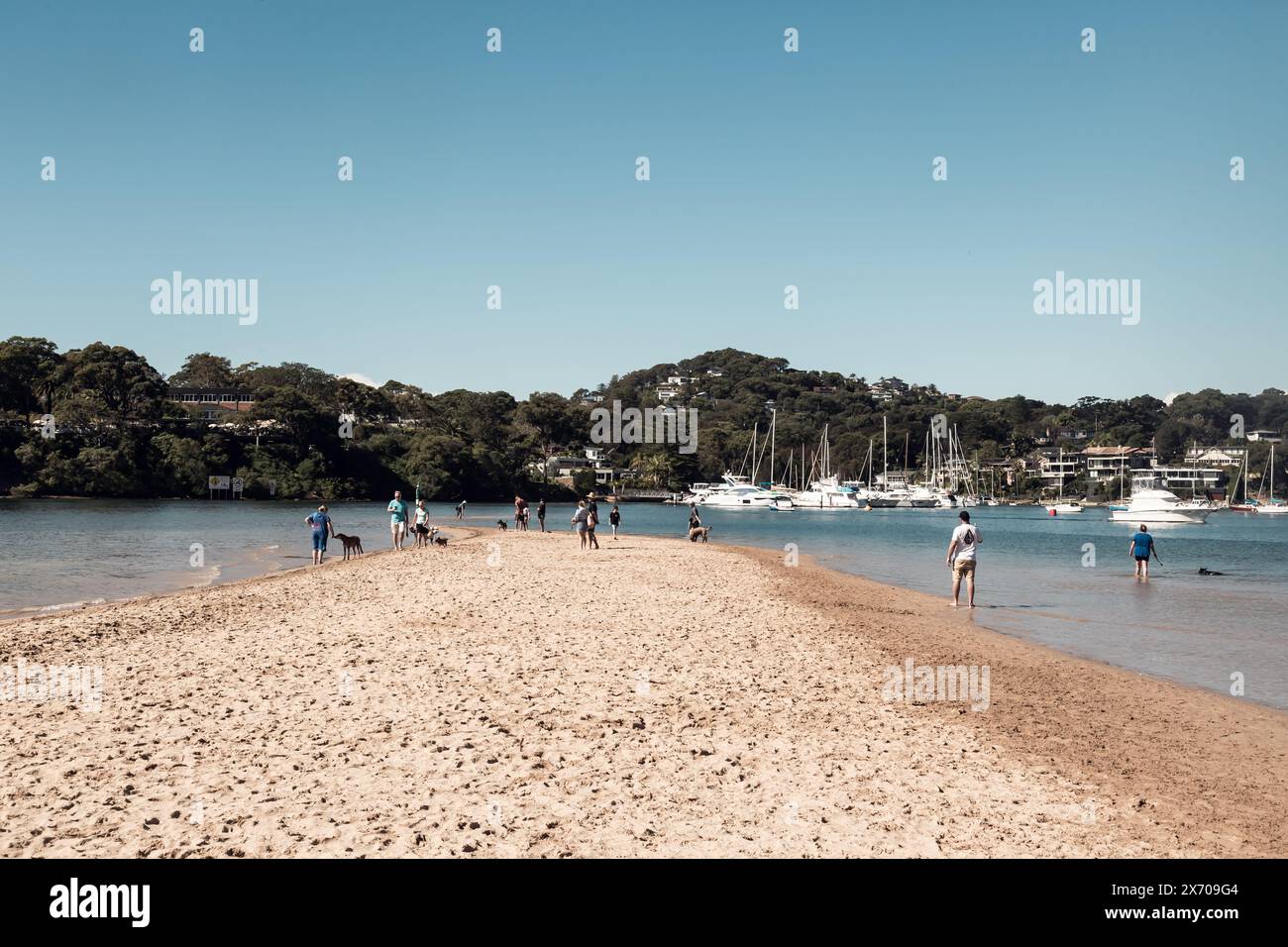 Residential properties overlooking Bayview Dog Park, Rowland Reserve ...