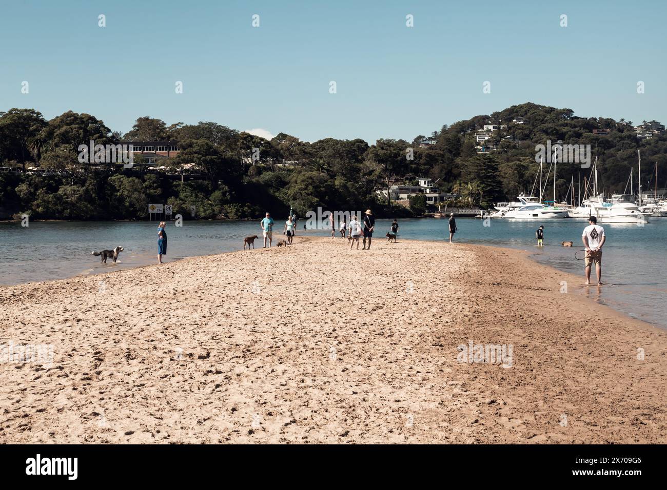 Residential properties overlooking Bayview Dog Park, Rowland Reserve ...
