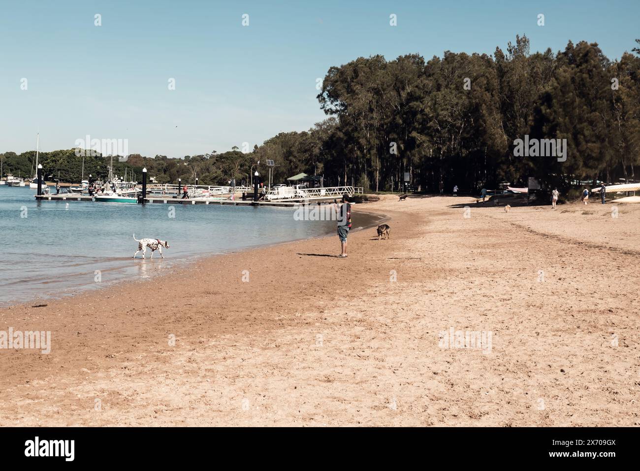 Residential properties overlooking Bayview Dog Park, Rowland Reserve ...