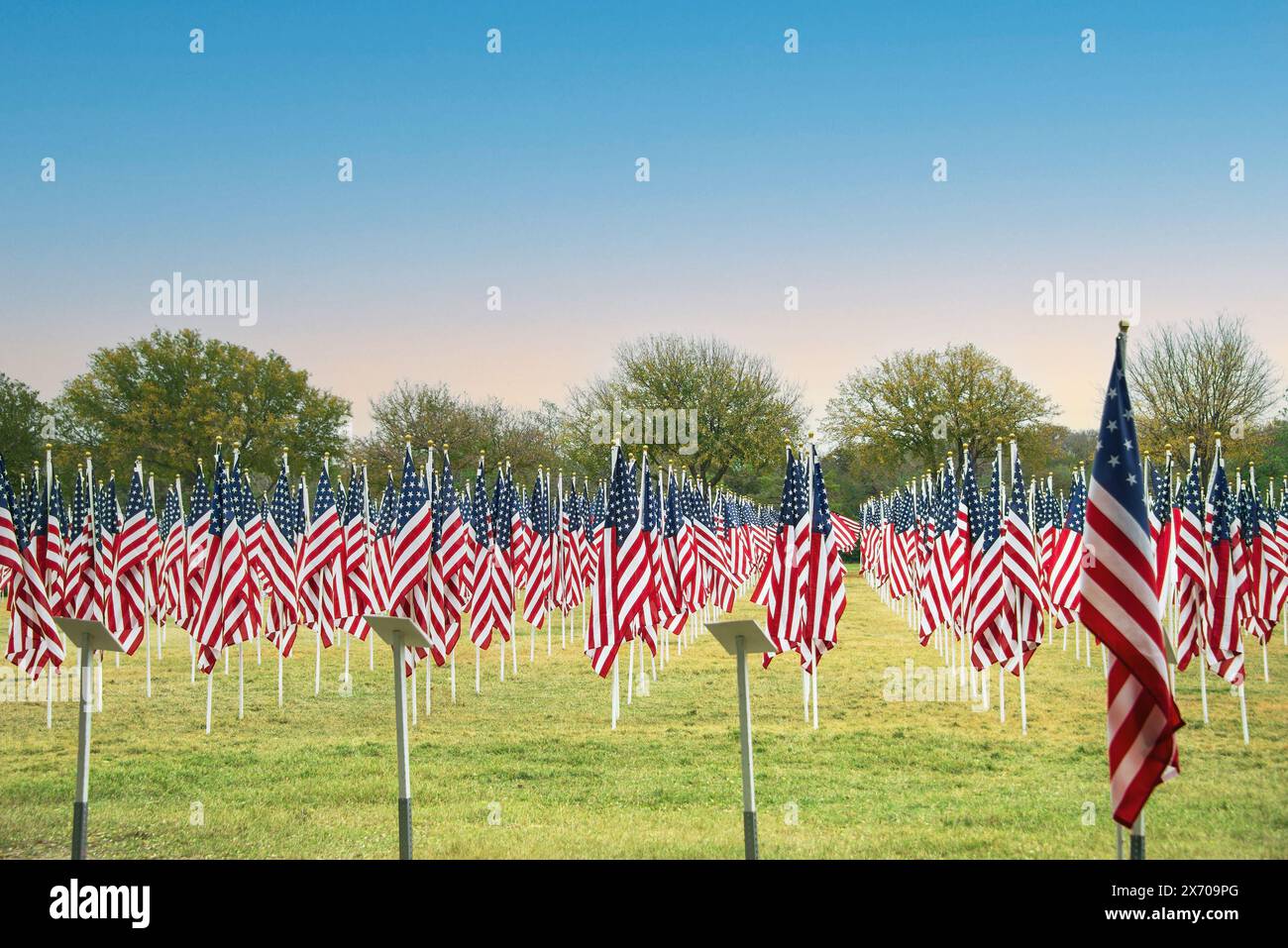 Field of American flags displayed on the honor of Veterans Day ...