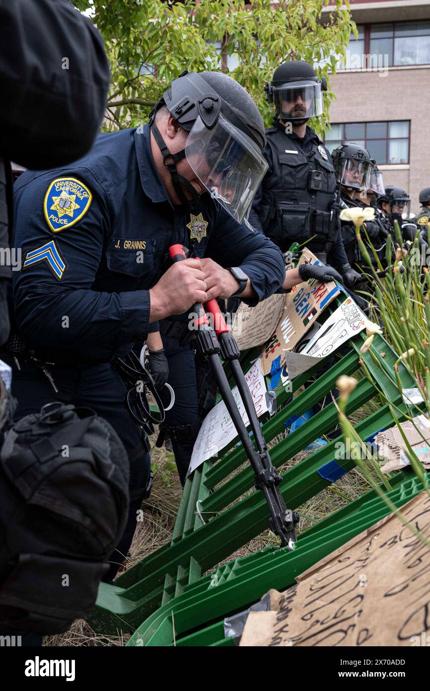A Police officer from UC Irvine cuts through the metal clips holding the encampment barrier ...