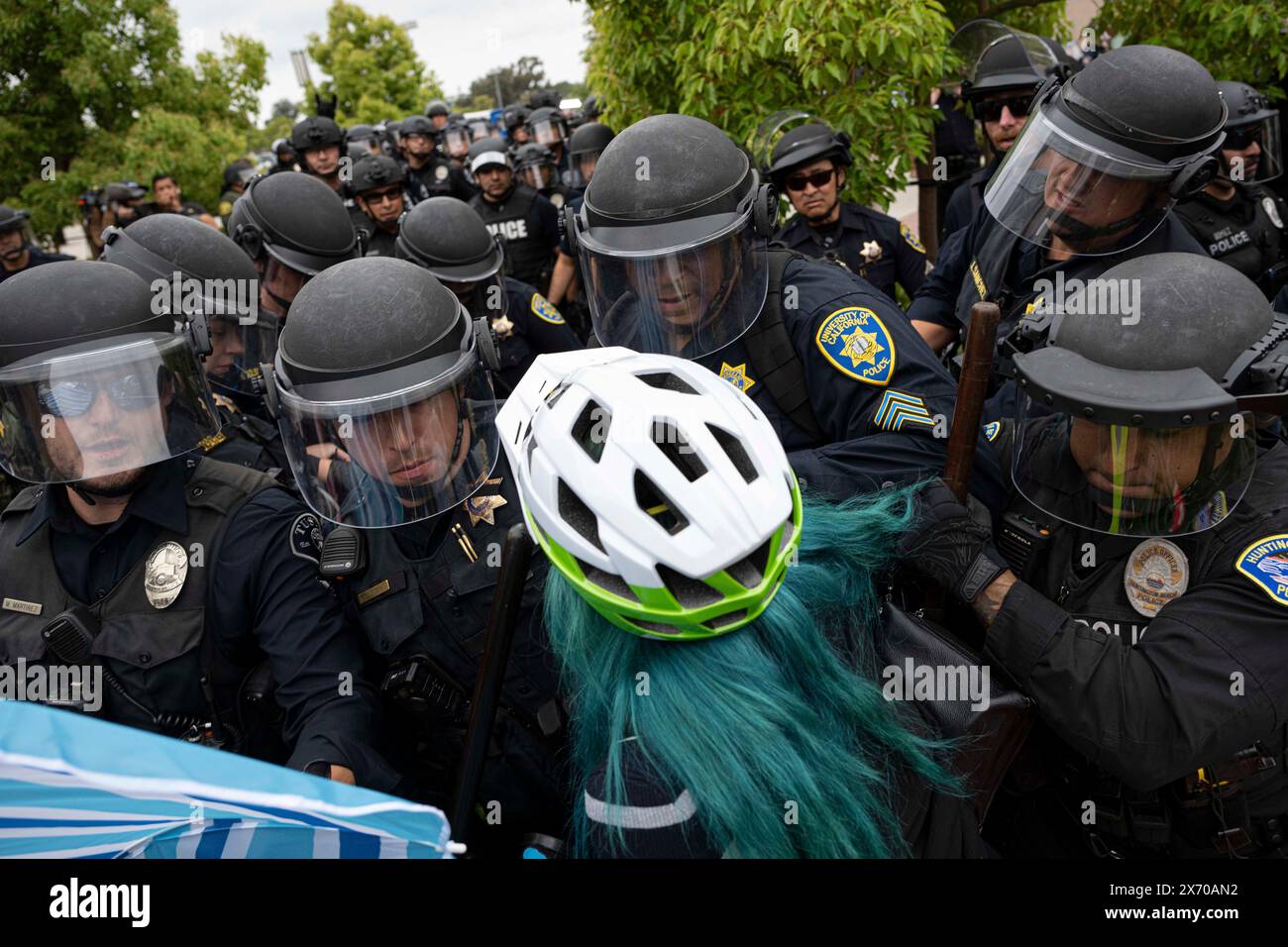 A Protester can be seen forcibly being removed by swat officers as they ...