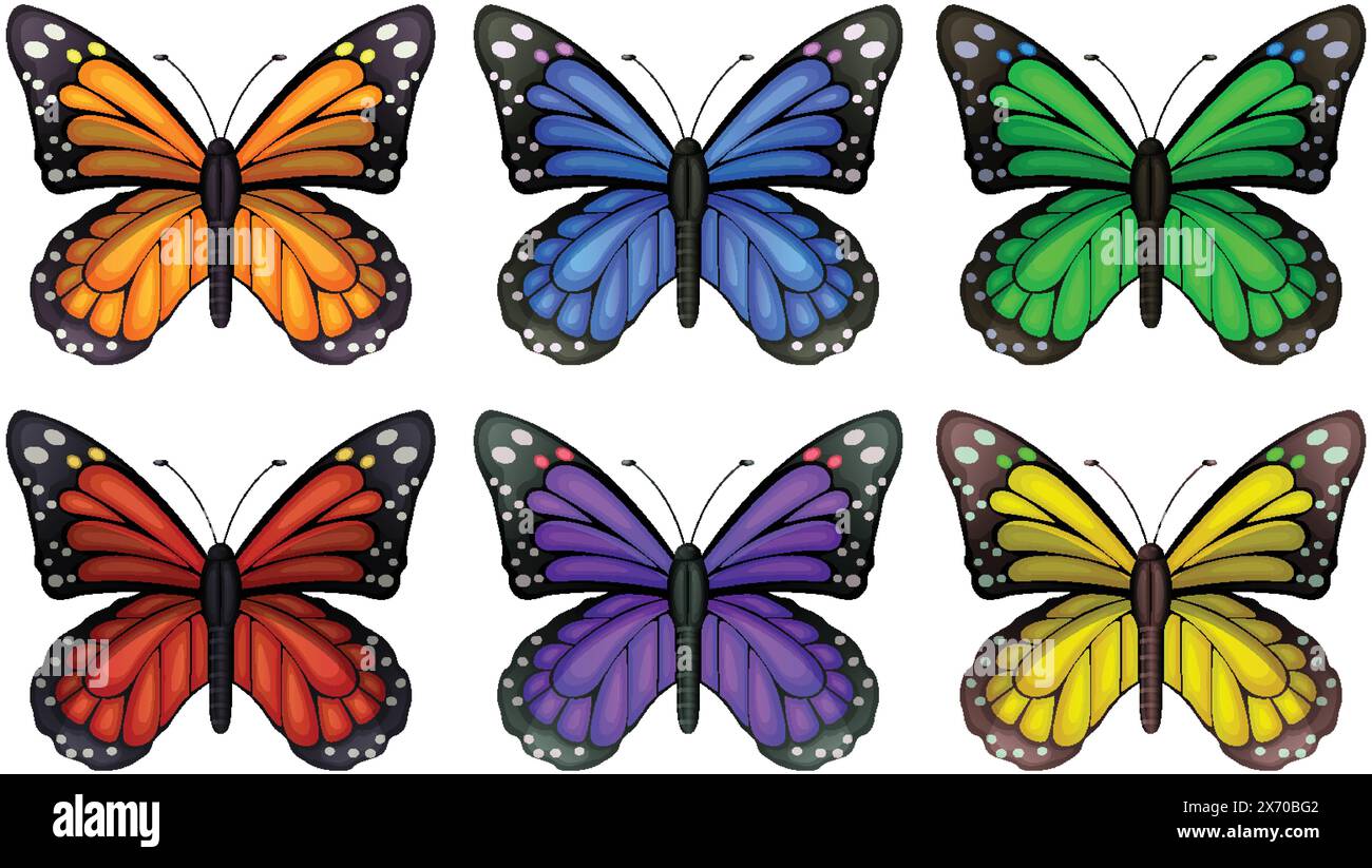 Six butterflies displayed hi-res stock photography and images - Alamy