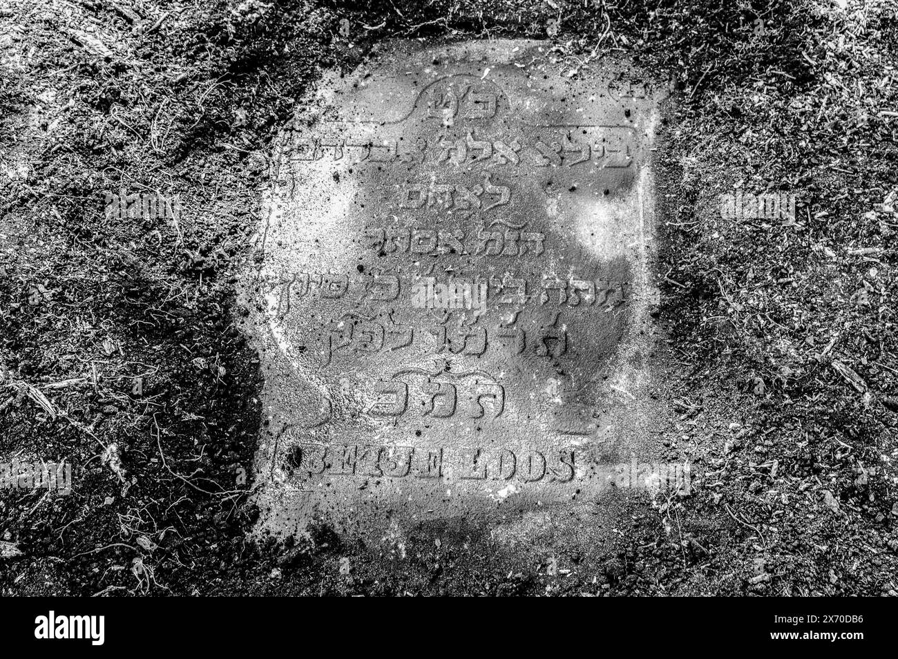 Black And White Of A Jewish Grave At Amsterdam The Netherlands 21-6 ...