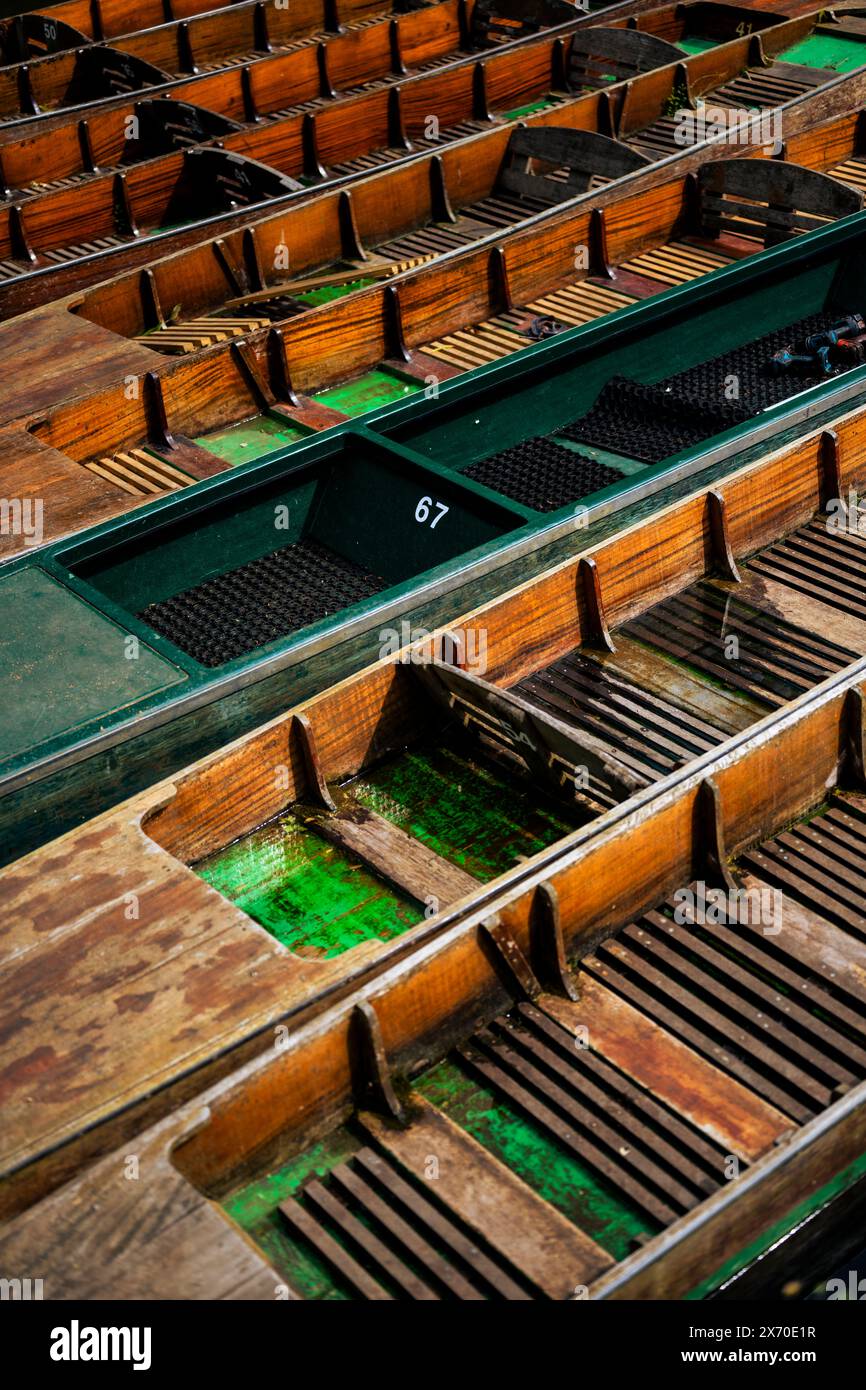 Punts on the River Cherwell, Oxford Botanic Gardens, Oxford ...