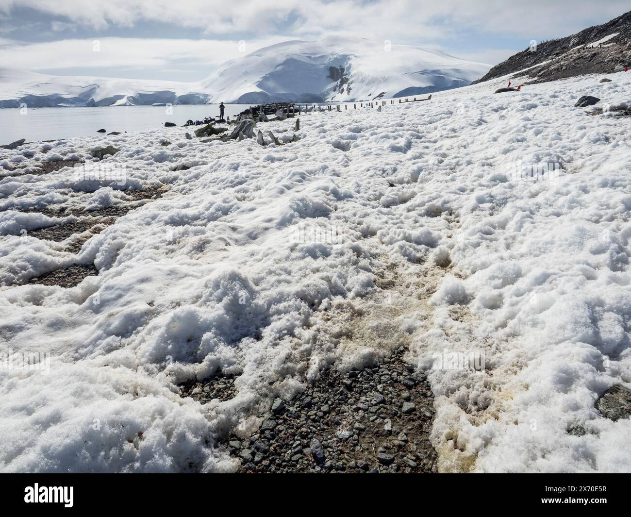 Tourist footprints in the ice near a whaling boat ruin on D’Hainaut ...