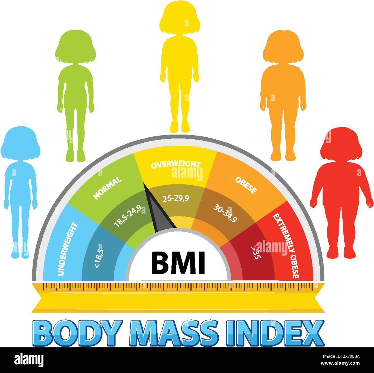 Body metrics vector vectors hi-res stock photography and images - Alamy