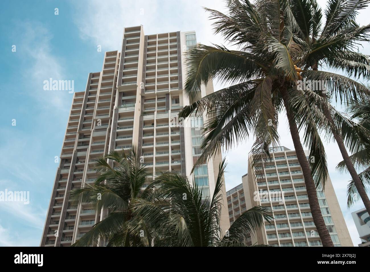 Palm tree with modern skyscraper and clouds in the sky. Coconut tree ...