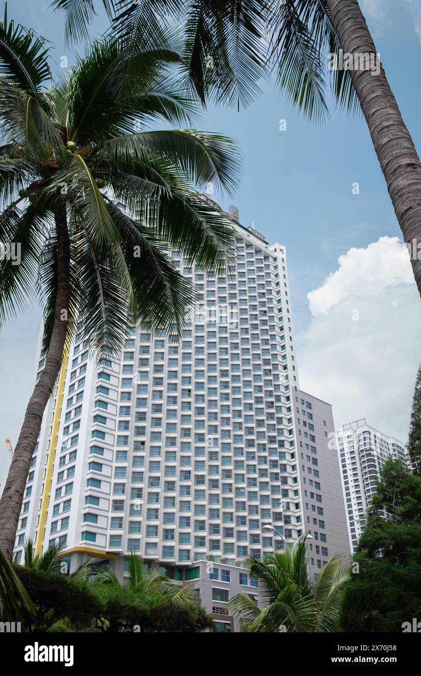 Palm tree with modern skyscraper and clouds in the sky. Coconut tree ...