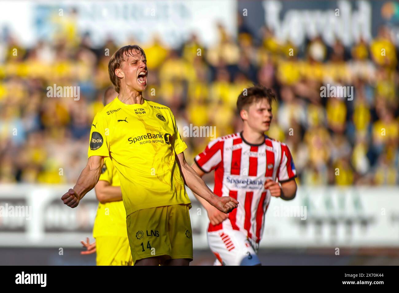 Ulrik saltnes bodo glimt hi-res stock photography and images - Alamy