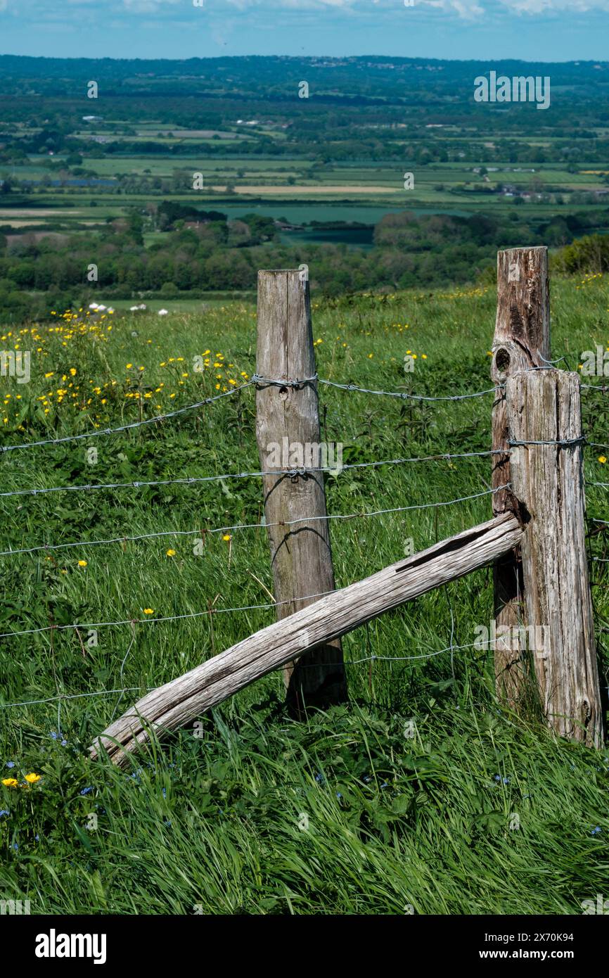 Old fence posts and barbed wire fence on the South Downs Stock Photo ...
