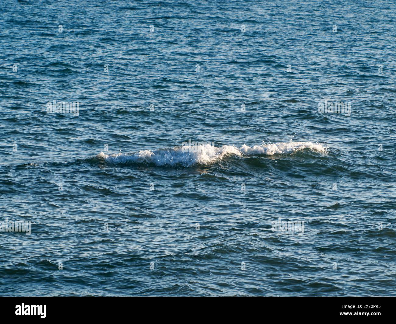 Beautiful curved water waves are used as a background image. Ocean wave ...