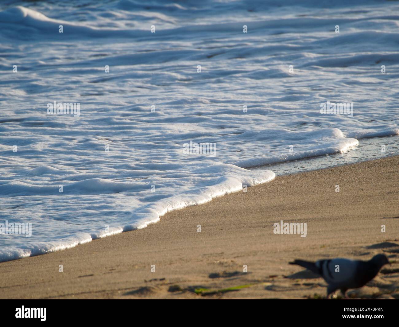 Beautiful curved water waves are used as a background image. Ocean wave ...