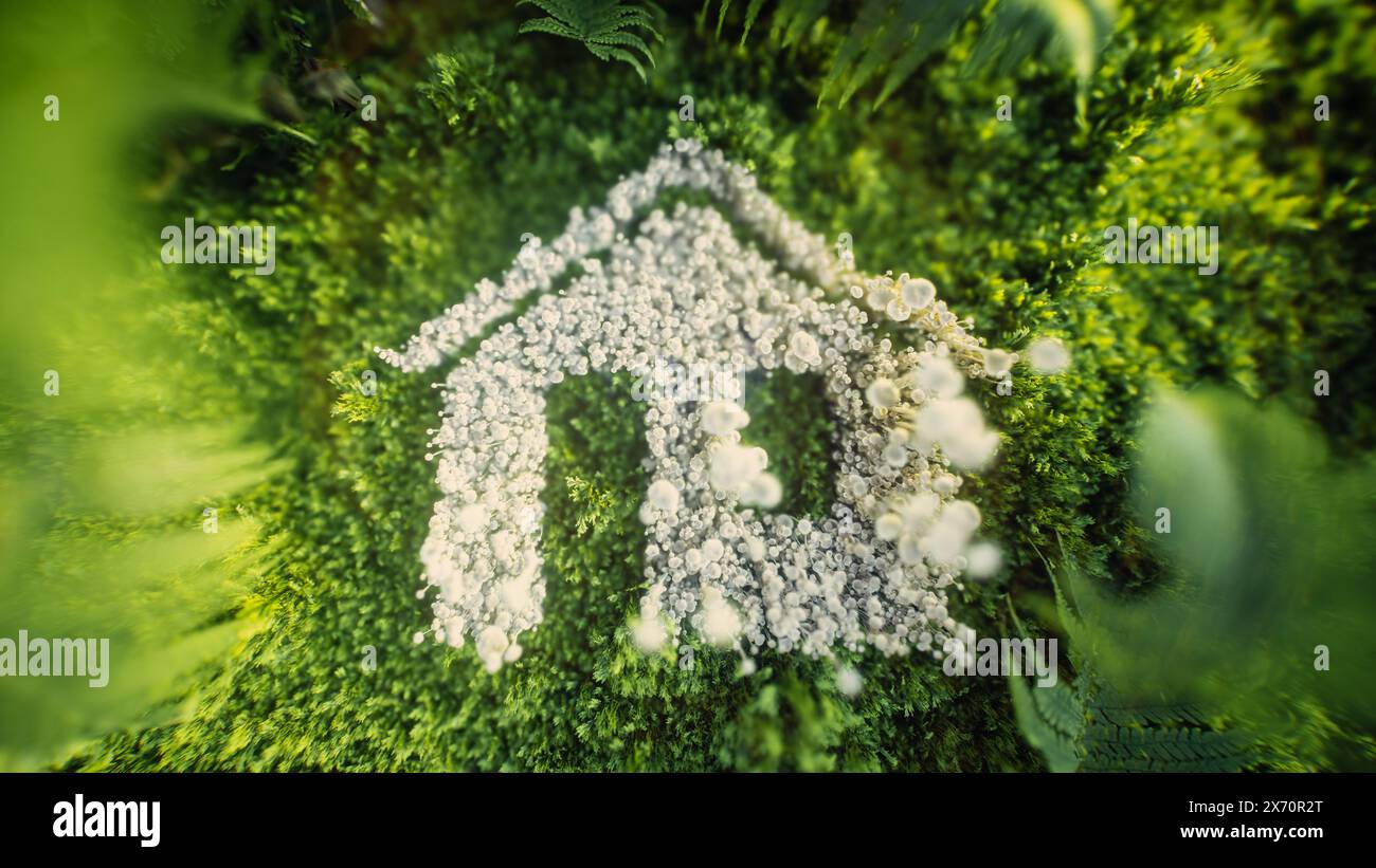 Concept of sustainable living with a green home symbol made of flowers ...